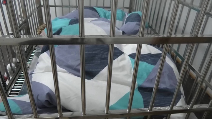 Shared File from m**2 | PikPak - Private Cloud, Video Saver