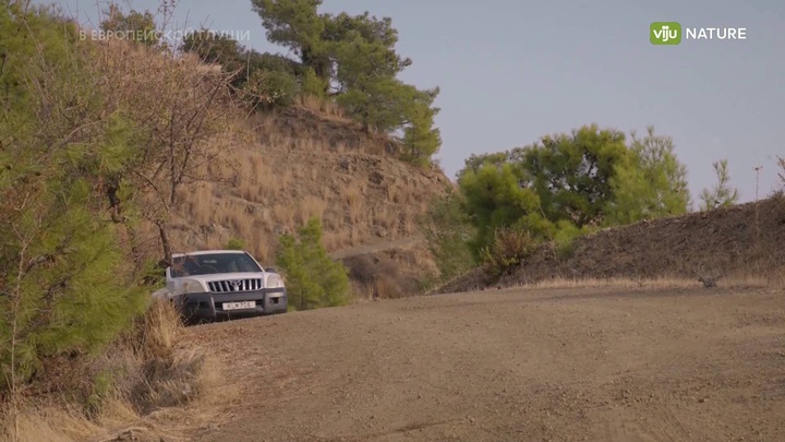 Shared File from 1f5v**gtsu | PikPak - Private Cloud, Video Saver