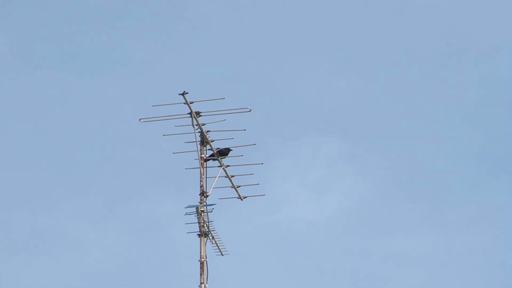 330077.xyz SDDE-583.mp4 Shared by 1g30**dd9e | PikPak