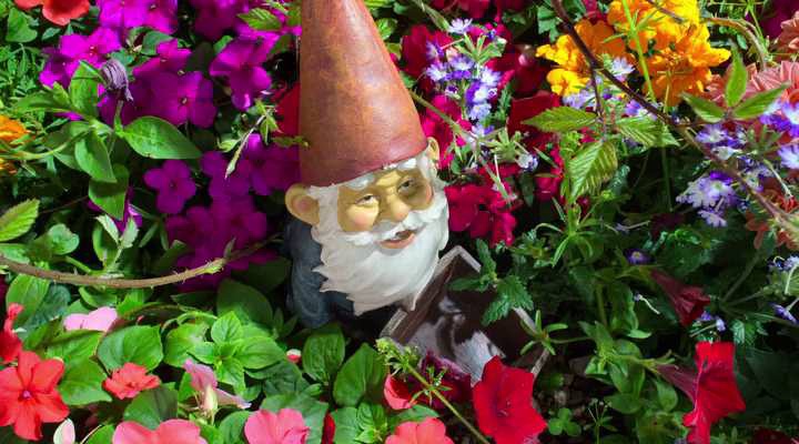 Shared File from 1f7m**va99 | PikPak - Private Cloud, Video Saver