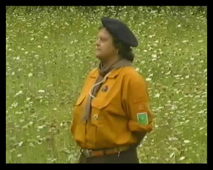 Shared File from 避难所**用账户undefined | PikPak - Private Cloud, Video Saver